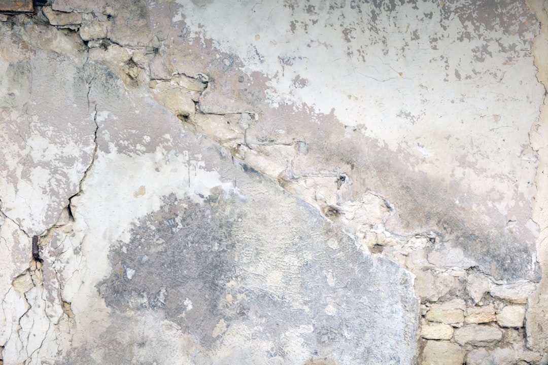 Mold Claims Made Easy with a Public Adjuster | LP Loss Consulting